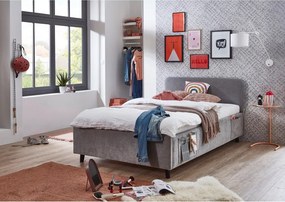 Šedá dětská postel bez roštu 120x200 cm Cosy – Meise Möbel