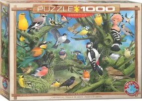 EUROGRAPHICS Puzzle Ptáci v zahradě / 1000 dílků / 67,63 × 48,89 cm