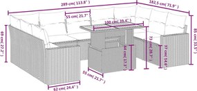 10dílná zahradní sedací souprava s poduškami béžová polyratan 3271458