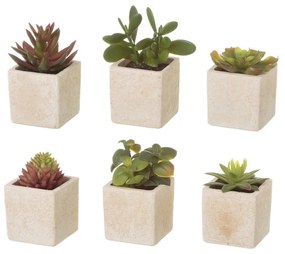 Umělé rostliny v sadě 6 ks (výška 9,5 cm) Cactus – Casa Selección