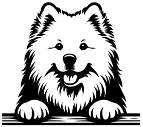 Samolepka pes Samojed
