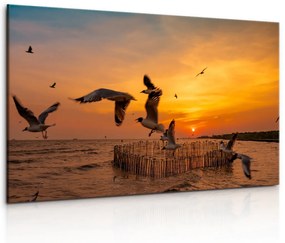 Malvis ® Obraz Ptáci při západu Velikost: 120x80 cm