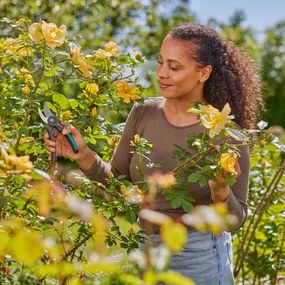 © 2026 GARDENA Zahradní nůžky PremiumCut Flex, dvoubřité, zahradní nůžky pro čerstvé dřevo, 24 mm