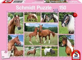 SCHMIDT Puzzle Nádherní koně / 150 dílků / 43,2 × 29,1 cm