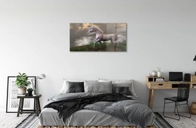 Obraz na skle Unicorn mraky 100x50 cm