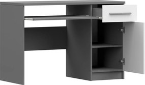IDZ Psací stůl OMEGA II 08, 110 cm Bílá/Grafit