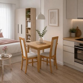 Vystavený set 2 jídelních židlí QUEEN LUX – buk / světlé čalounění
