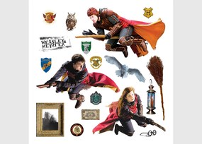 Dětská samolepka na zeď Harry Potter | 30 x 30 cm | DDKS3829