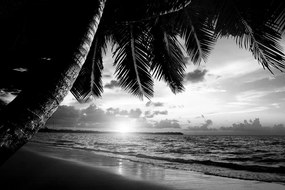 Obraz východ slunce na karibské pláži v černobílém provedení Varianta: 120x80