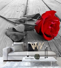Gario Fototapeta Červená růže na starých deskách Materiál: Vliesová, Rozměry: 100 x 100 cm