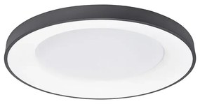 Stropní svítidlo LED se stmíváním Rando Thin 60 3000K černé