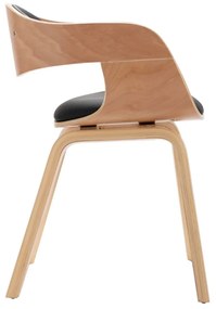 Petromila Jídelní židle 2 ks ohýbané dřevo a umělá kůže