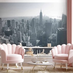 Fototapeta New York City skyline in black and white
