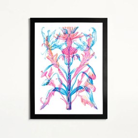 Filip Šenkeřík | Hybrid I – Liliantaurea Centaureum Rám: Černý, Velikost: 40 x 30 cm
