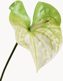 Sada umělých květin Anthurium, 2 díly