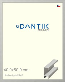 DANTIK rámeček 40x50 | ALU profil 6240 Stříbrná matná (Plexi Čiré)