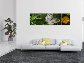 Obraz - bílý motýl (170x50 cm)