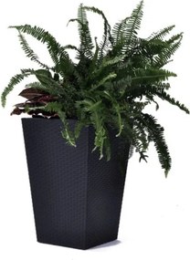 KETER - květináč Rattan Planter S, antracit