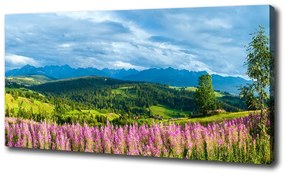 Wallmuralia Foto obraz canvas Levandule v horách 100x50