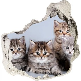 Wallmuralia Díra 3D fototapeta nálepka Pět koček 75x75 cm