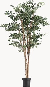 Umělá rostlina Ficus
