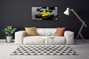 Obraz na plátně Květ Kameny Rostlina Lázně 100x50 cm