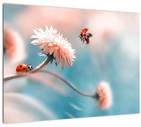 Skleněný obraz - Berušky na květu (70x50 cm)