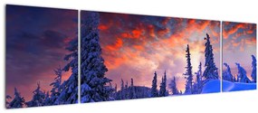 Obraz - Zimní soumrak (170x50 cm)