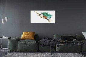 Obrazy na plátně Barevné malované papoušek 125x50 cm