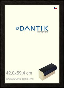 DANTIK rámeček 42x59,4 | WOODLINE černá (Plexi Čiré)