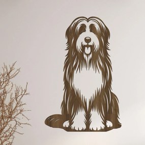 dřevo života Dřevěný obraz Bearded Collie Zvolte rozměr (cm): 46x60, Zvolte barvu dekoru: Ořech