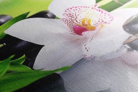 Obraz orchidej s japonskou tématikou Varianta: 100x50