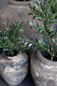 Dekorace umělý stromek olivovník s olivami Olea Tree - Ø 12*73 cm