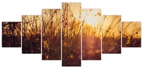 Obraz pole při západu slunce (210x100 cm)