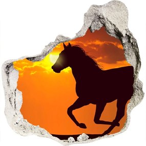 Wallmuralia Díra 3D fototapeta na stěnu Kůň západ slunce 75x75 cm