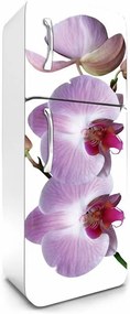 Fototapeta na lednici Orchid 65 x 180 cm FR180-024