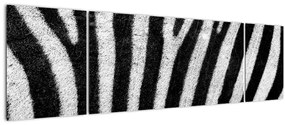 Obraz kůže zebry (170x50 cm)