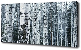 Wallmuralia Foto obraz na plátně do obýváku Stromy bříza 100x50