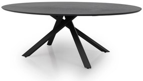 TENZO Oválný jídelní stůl COX 240x120cm 9003708916