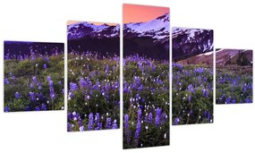 Obraz - Sopka a květiny (125x70 cm)