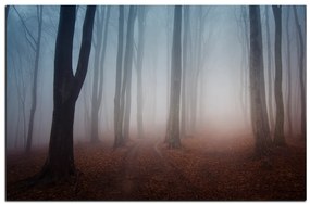 Obraz na plátně - Mlha v lese 1182A (120x80 cm)