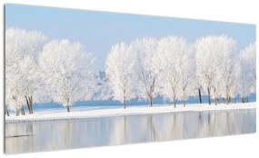 Obraz - zimní příroda (100x40cm)