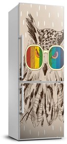 Wallmuralia Nálepka fototapeta lednička Sovy v brýlích 60x180 cm
