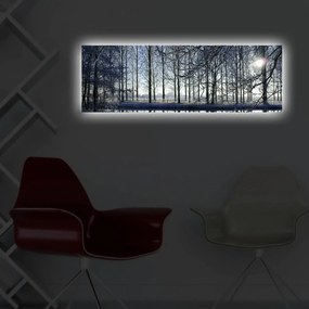 Obraz s LED osvětlením ZIMNÍ KRAJINA 37 30 x 90 cm