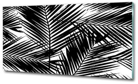 Wallmuralia Foto obraz sklo tvrzené Listí palmy 100x50