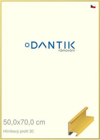 DANTIK rámeček 50x70 | ALU profil 6030 Dýha barevná žlutá citrus (Plexi Čiré)