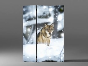 Liox Paraván vlk v zimě Rozměr: 135 x 180 cm