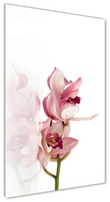Wallmuralia Vertikální Fotoobraz na skle Růžová orchidej 50x100