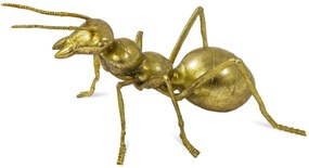 Zlatý mravenec 114581