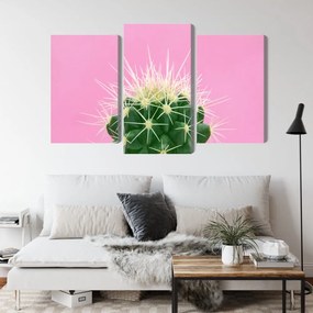 Vícedílný obraz Kaktus Na Růžovém Pozadí Nedostatek Nedostatek Přírodní plátno 150x100